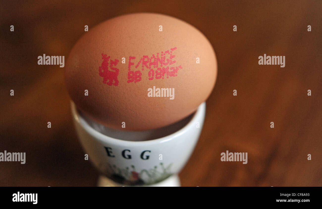 Free Range egg with quality control mark stamped on shell in an eggcup ...