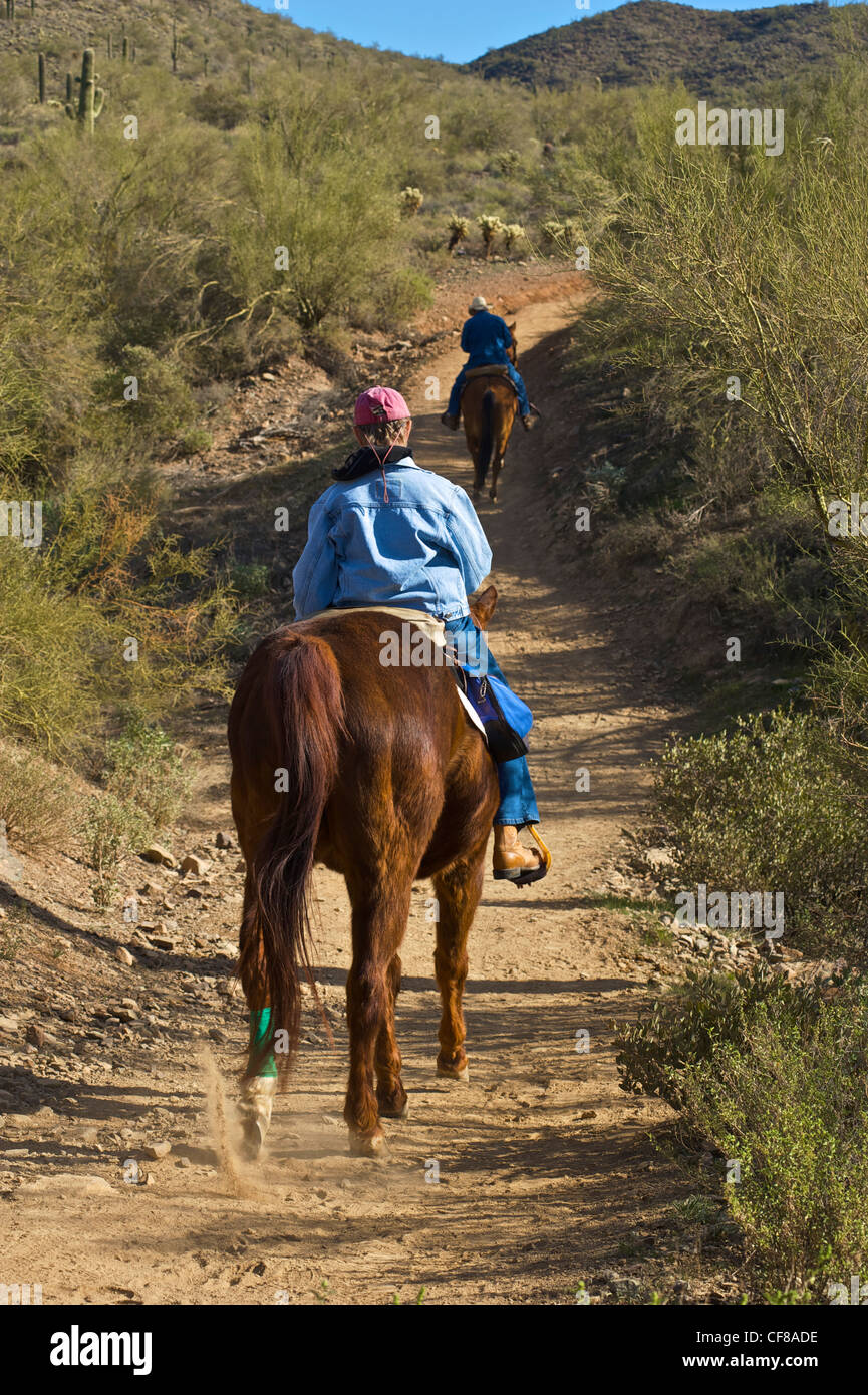 Horseback riding on an Arizona morning in the Sonoran Desert in Cave ...