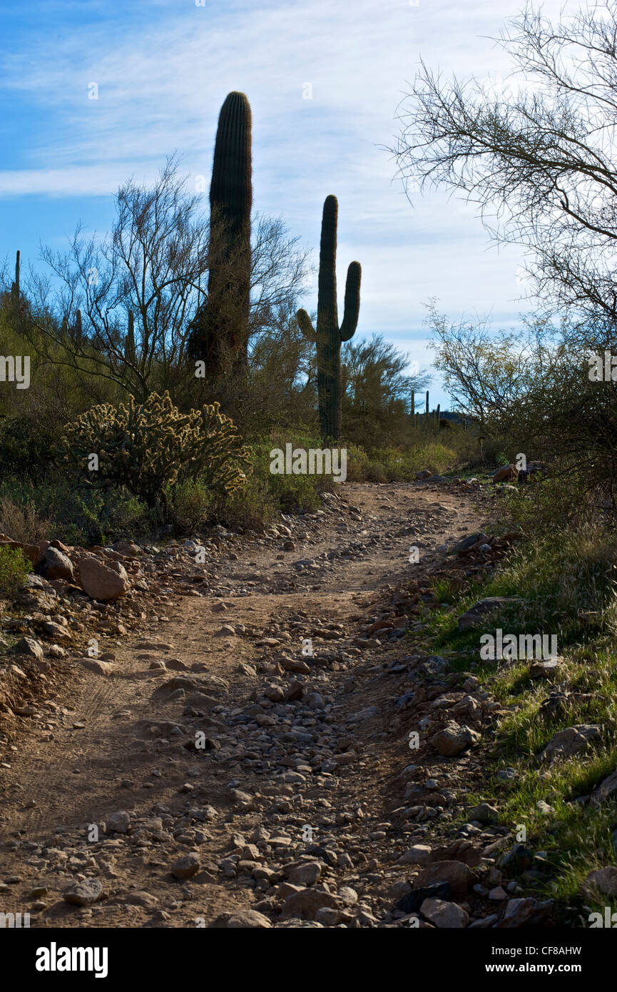 Cave path hi-res stock photography and images - Alamy