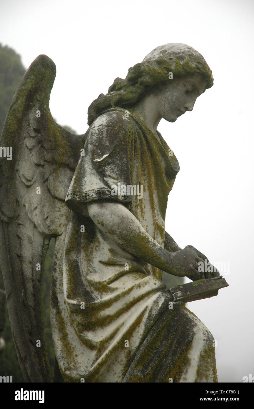 Angel reading hi-res stock photography and images - Alamy