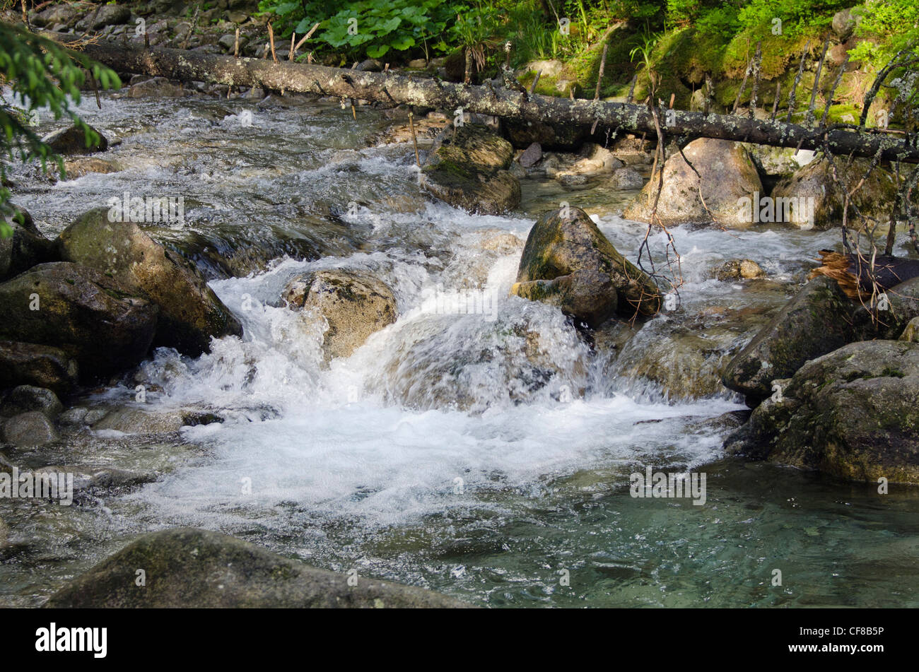 Pictures from Tatra mountains, Polad Stock Photo - Alamy