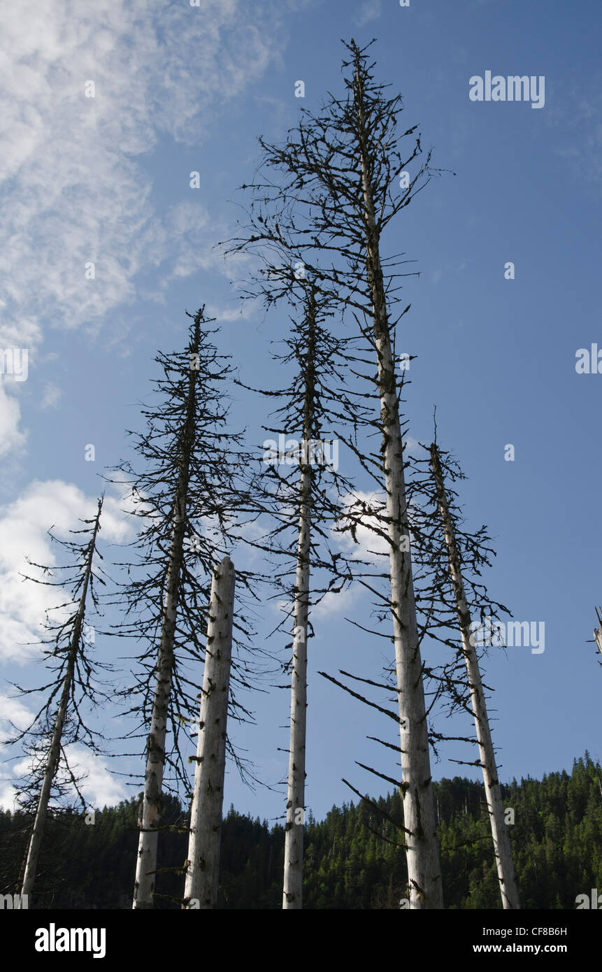 Pictures from Tatra mountains, Polad Stock Photo - Alamy