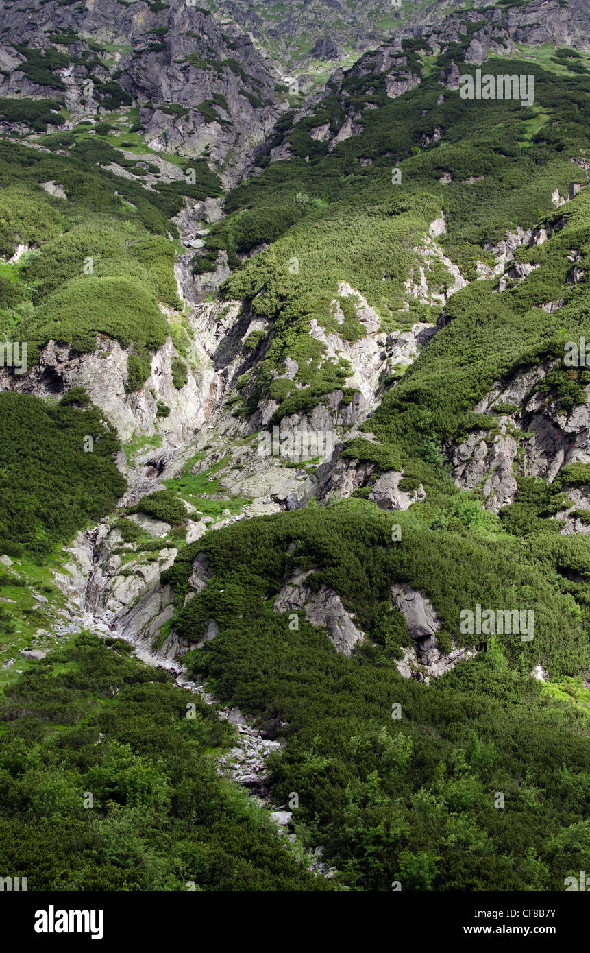 Landscape from tatra mountains hi-res stock photography and images - Alamy