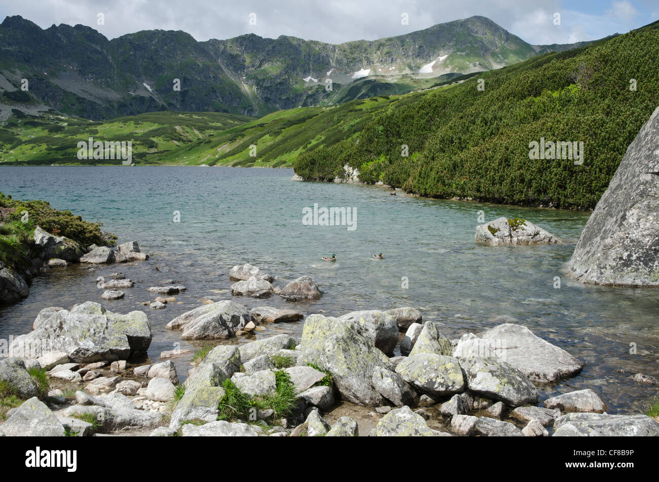 Pictures from Tatra mountains, Polad Stock Photo - Alamy