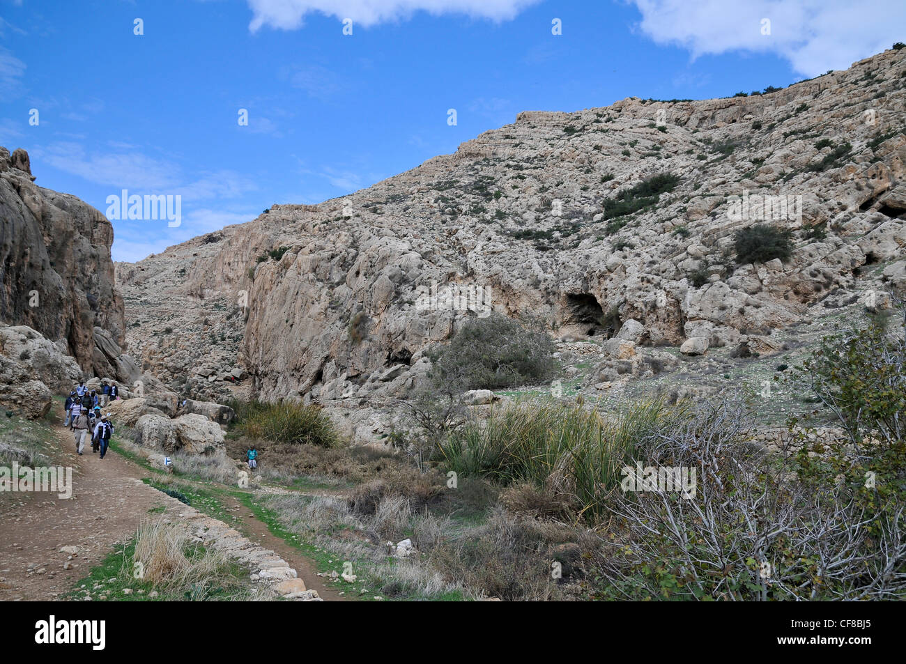 Israel, Jordan Valley, Wadi Qelt (Wadi Perat) offroad hiking Stock ...