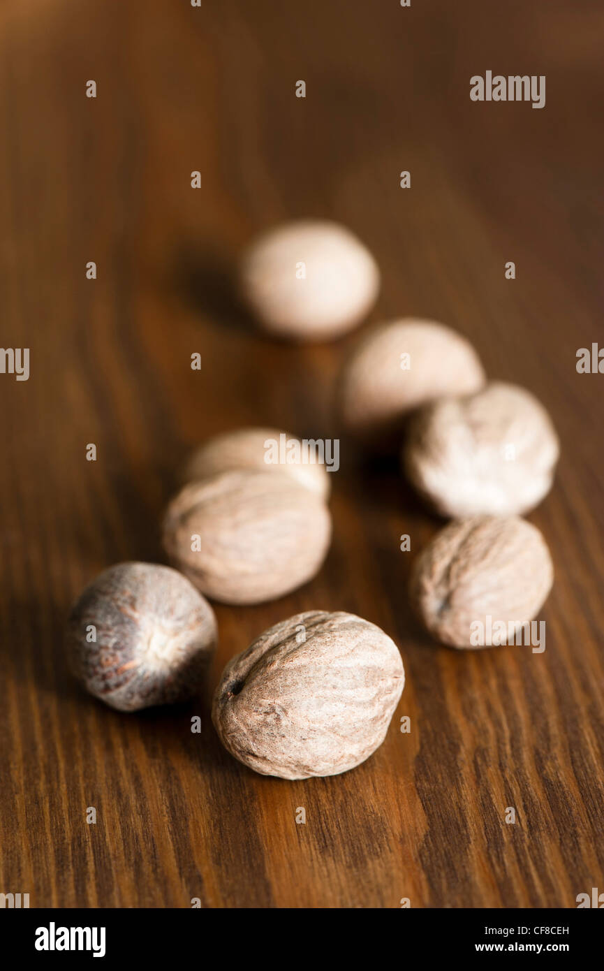 Nutmeg, Myristica fragrans Stock Photo - Alamy