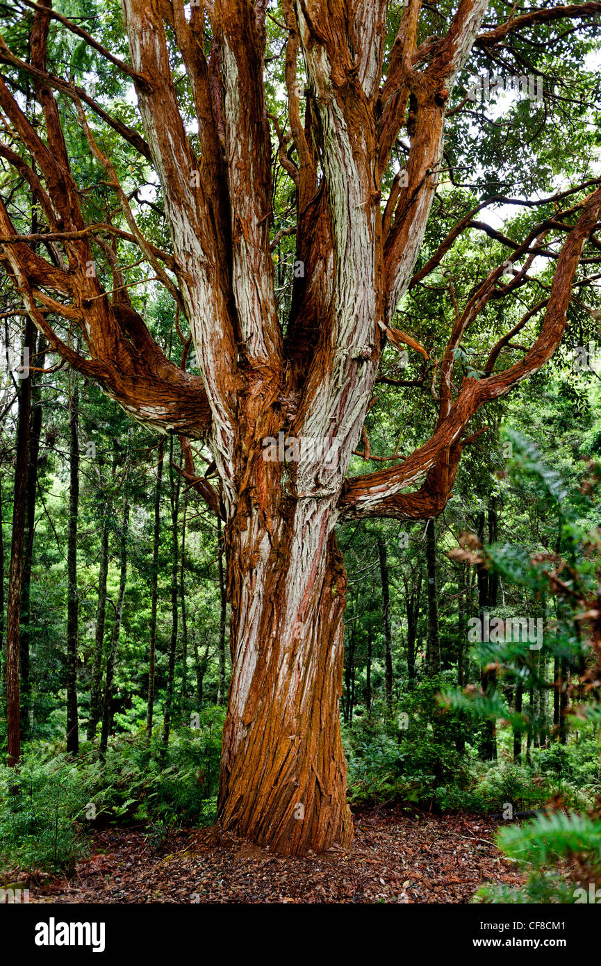 Sign atlantic side hi-res stock photography and images - Alamy