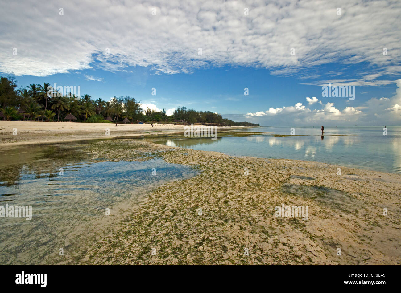 Pongwe village, Zanzibar Stock Photo - Alamy