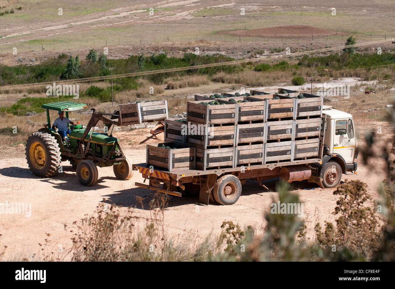 Farmer using a John Deere tractor to load farm produce onto a lorry for ...