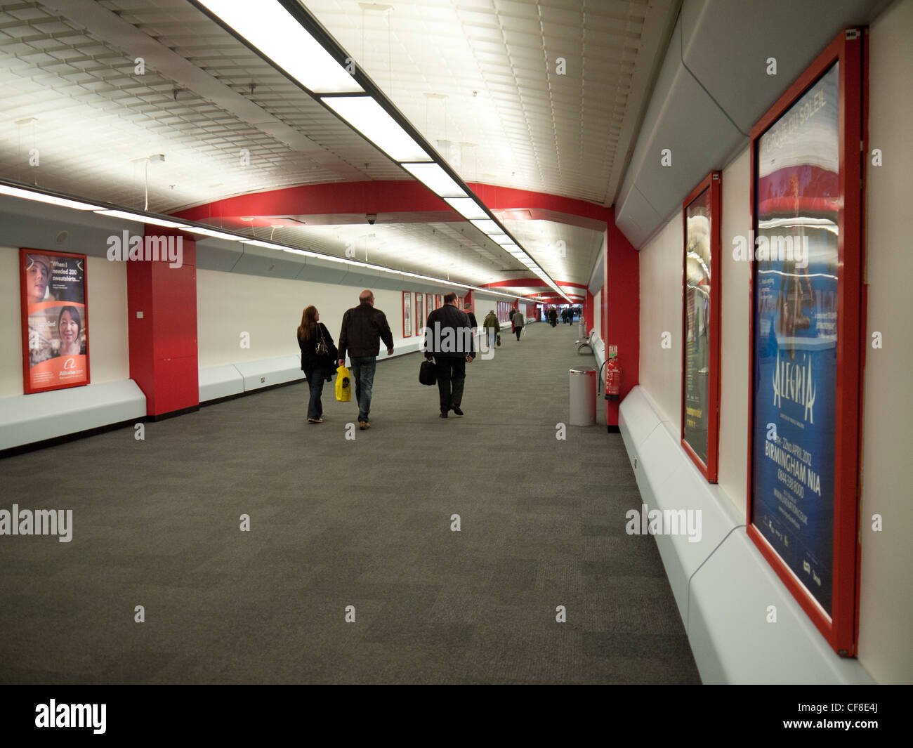 Long nec hi-res stock photography and images - Alamy