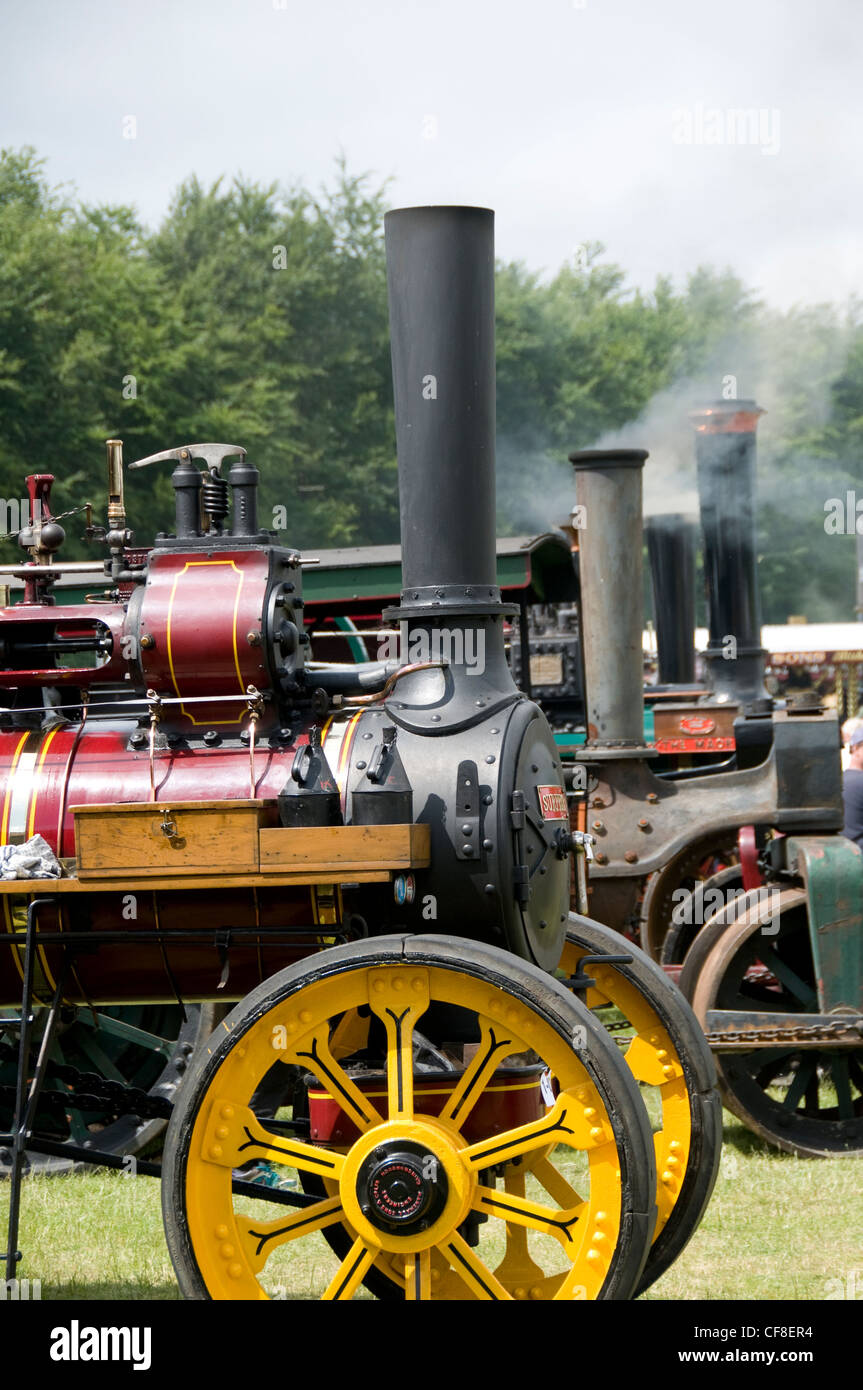 vintage traction engines celebrate the power of British engineering at ...