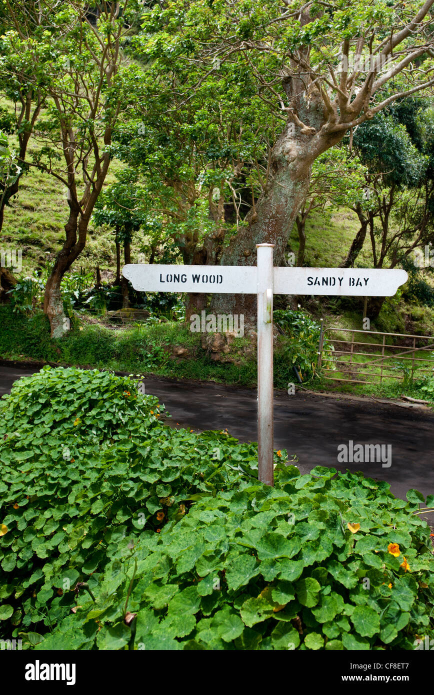 Napoleon house sign hi-res stock photography and images - Alamy