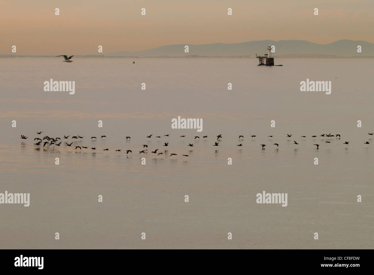 Flying over the water Stock Photo - Alamy