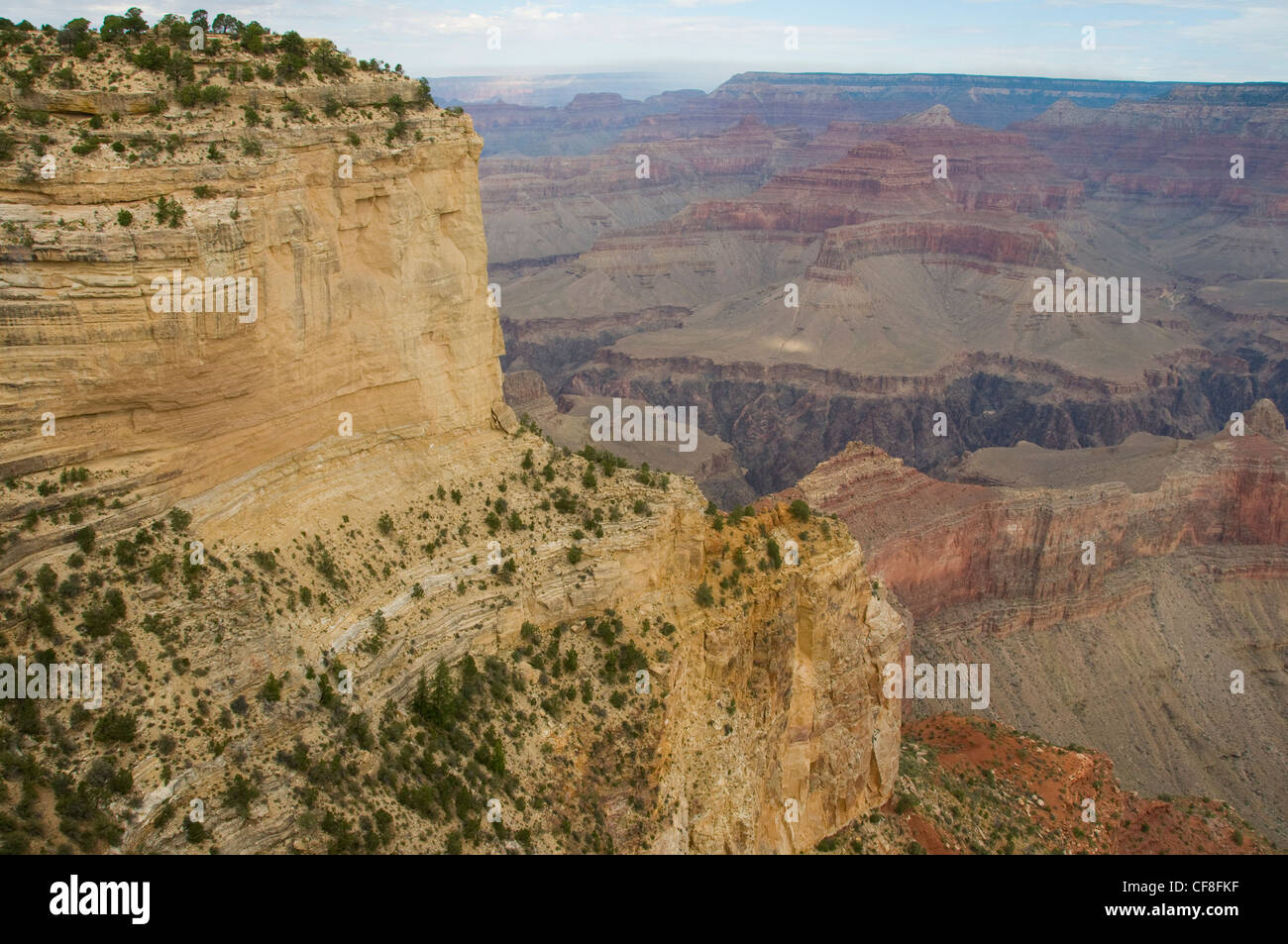 Grand Canyon National Park In Nevada Usa Stock Photo Alamy