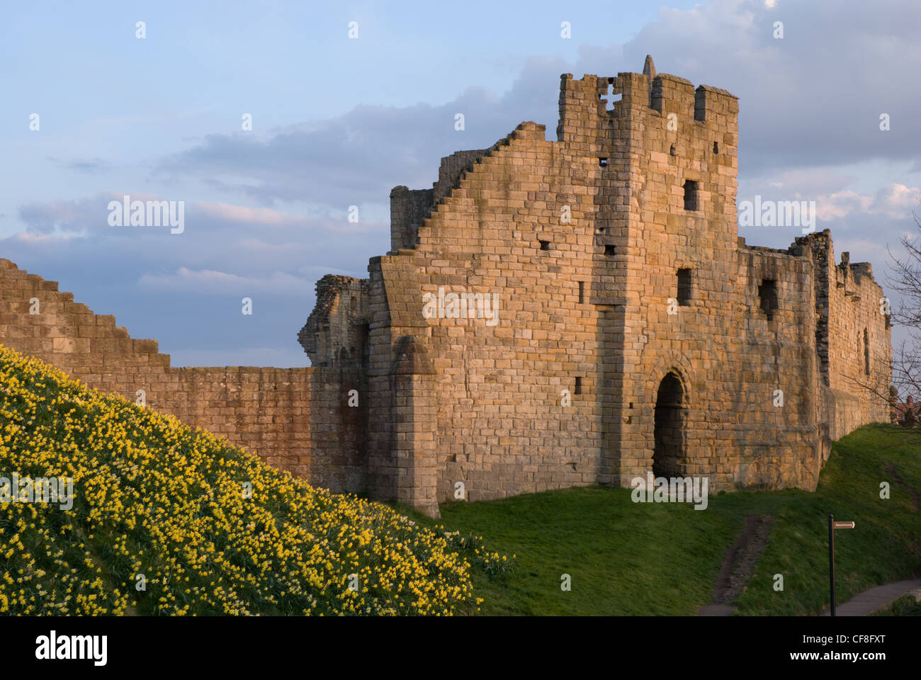 Warkworth Castle in spring Stock Photo - Alamy