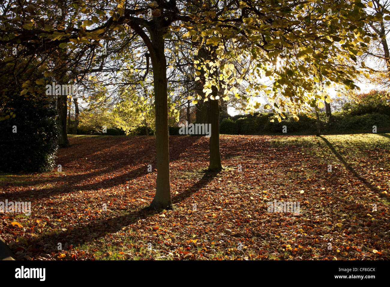 Lister park hi-res stock photography and images - Alamy