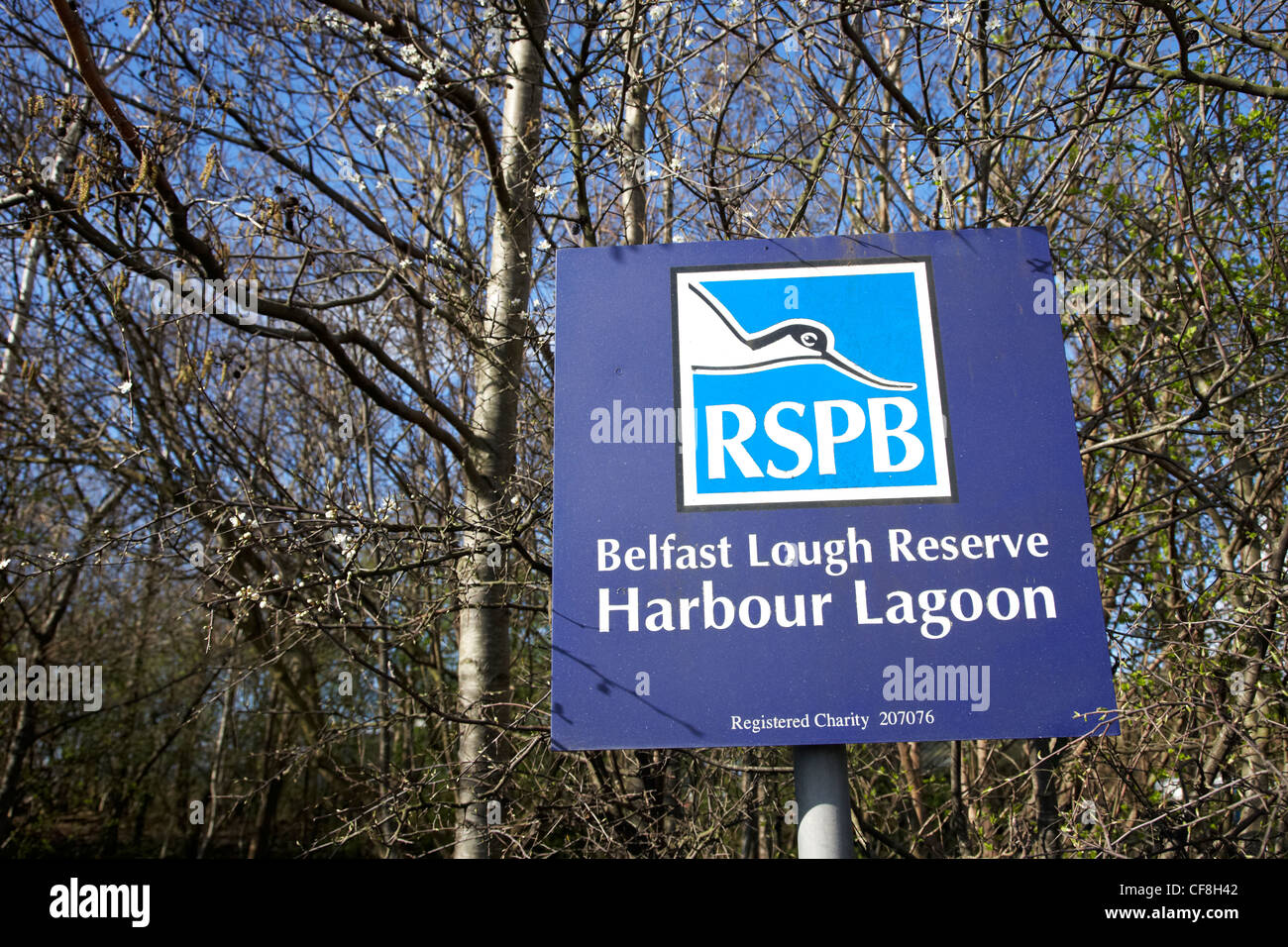 Belfast Lough Reserve RSPB harbour lagoon Northern Ireland UK Stock ...