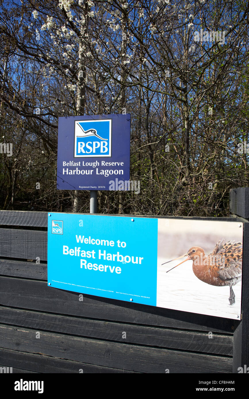 Belfast harbour bird reserve hi-res stock photography and images - Alamy