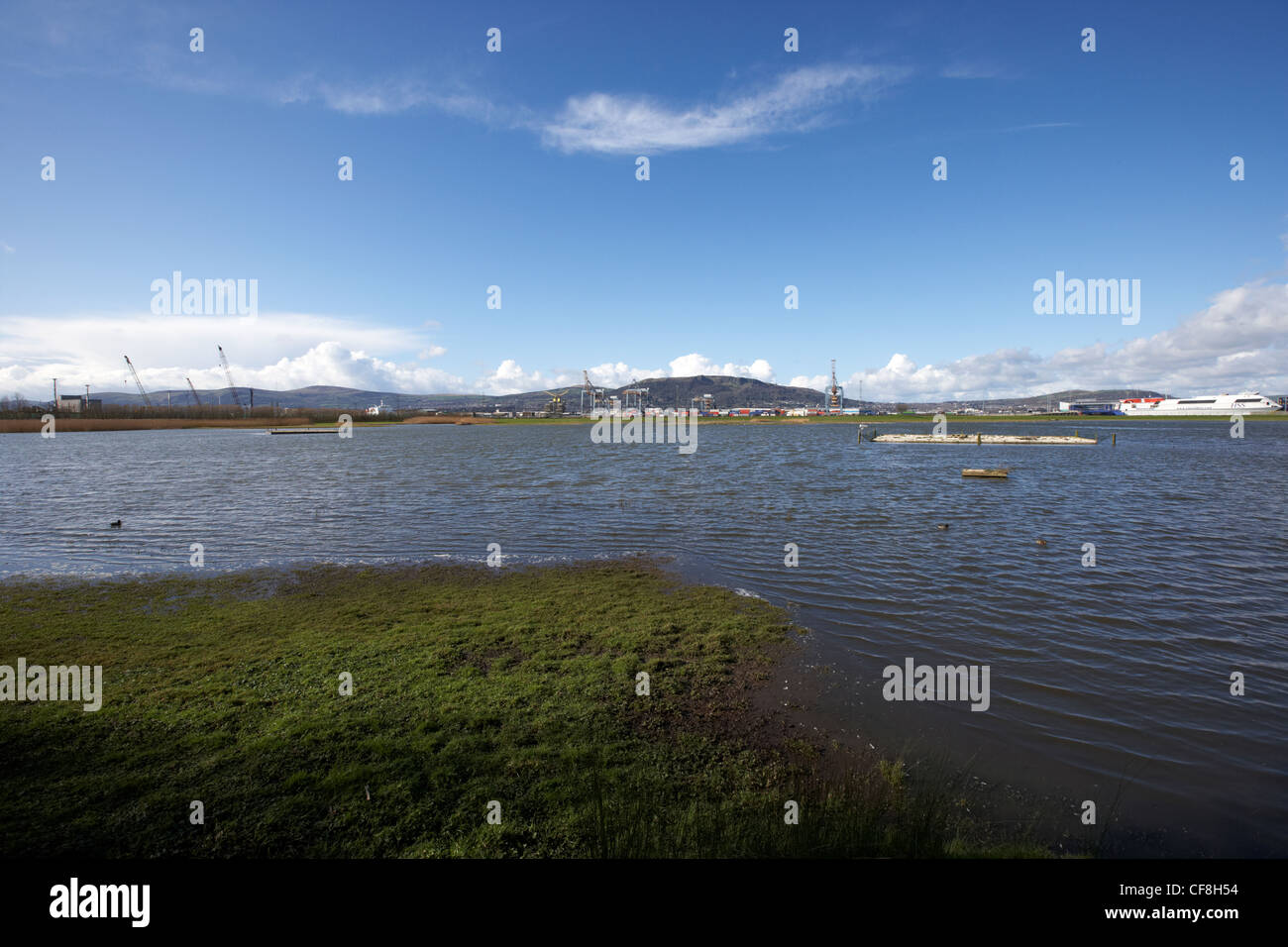 Belfast lough nature reserve hi-res stock photography and images - Alamy