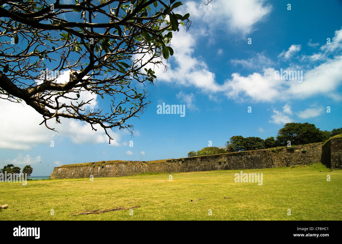 Trincomalee fort also known as fort Fredrick was constructed by the ...