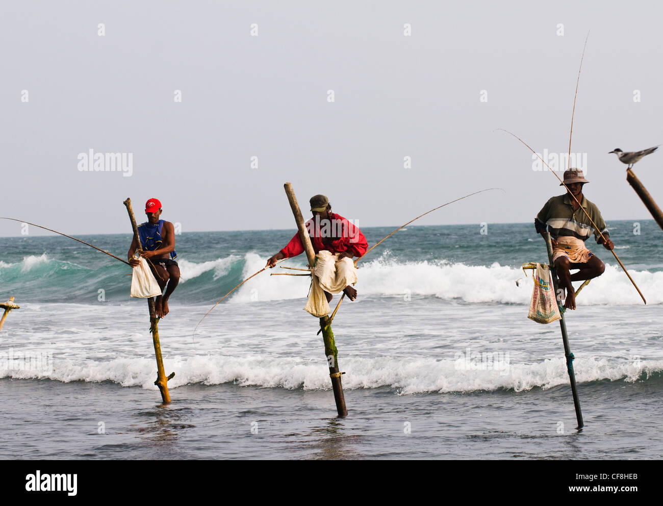 Stilt fishing in southern Sri Lanka Stock Photo - Alamy