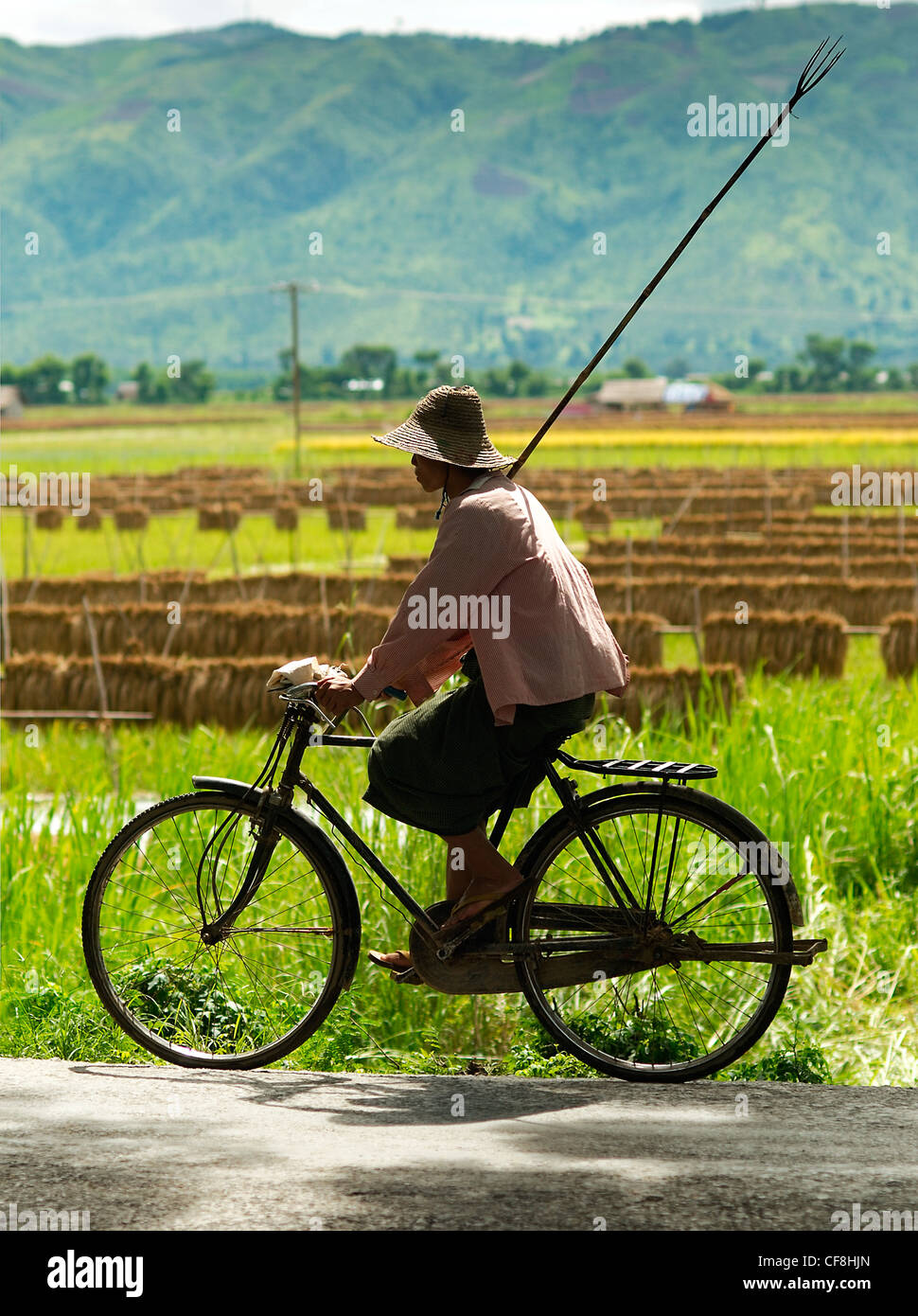 Farmer on bicycle hi-res stock photography and images - Alamy