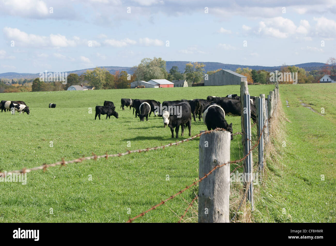 Hampden maine hi-res stock photography and images - Alamy