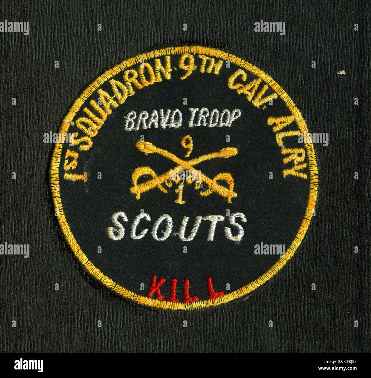 Unauthorized patch of Bravo Troop, 1st Squadron, 9th Cavalry, 1st ...