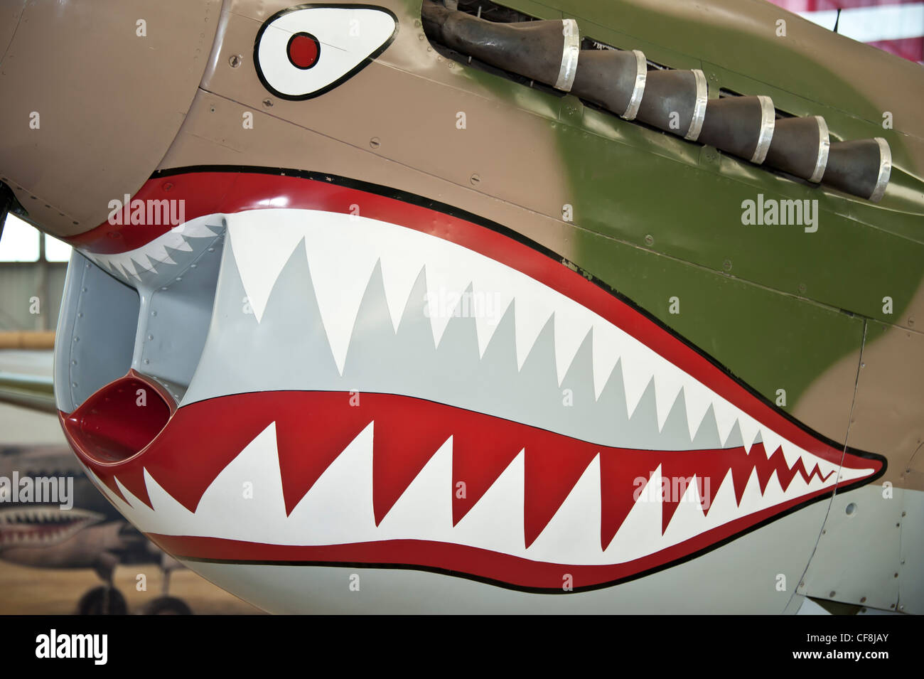 Tiger Shark Plane