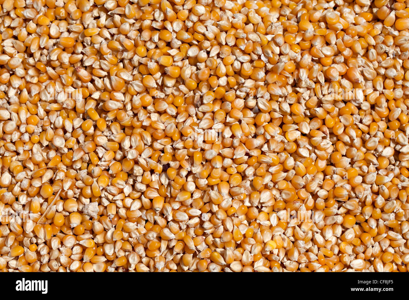 Corn beans hi-res stock photography and images - Alamy