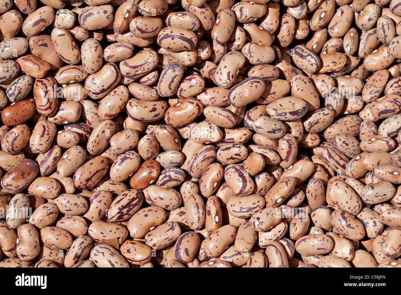 Abundance of kidney beans Stock Photo - Alamy