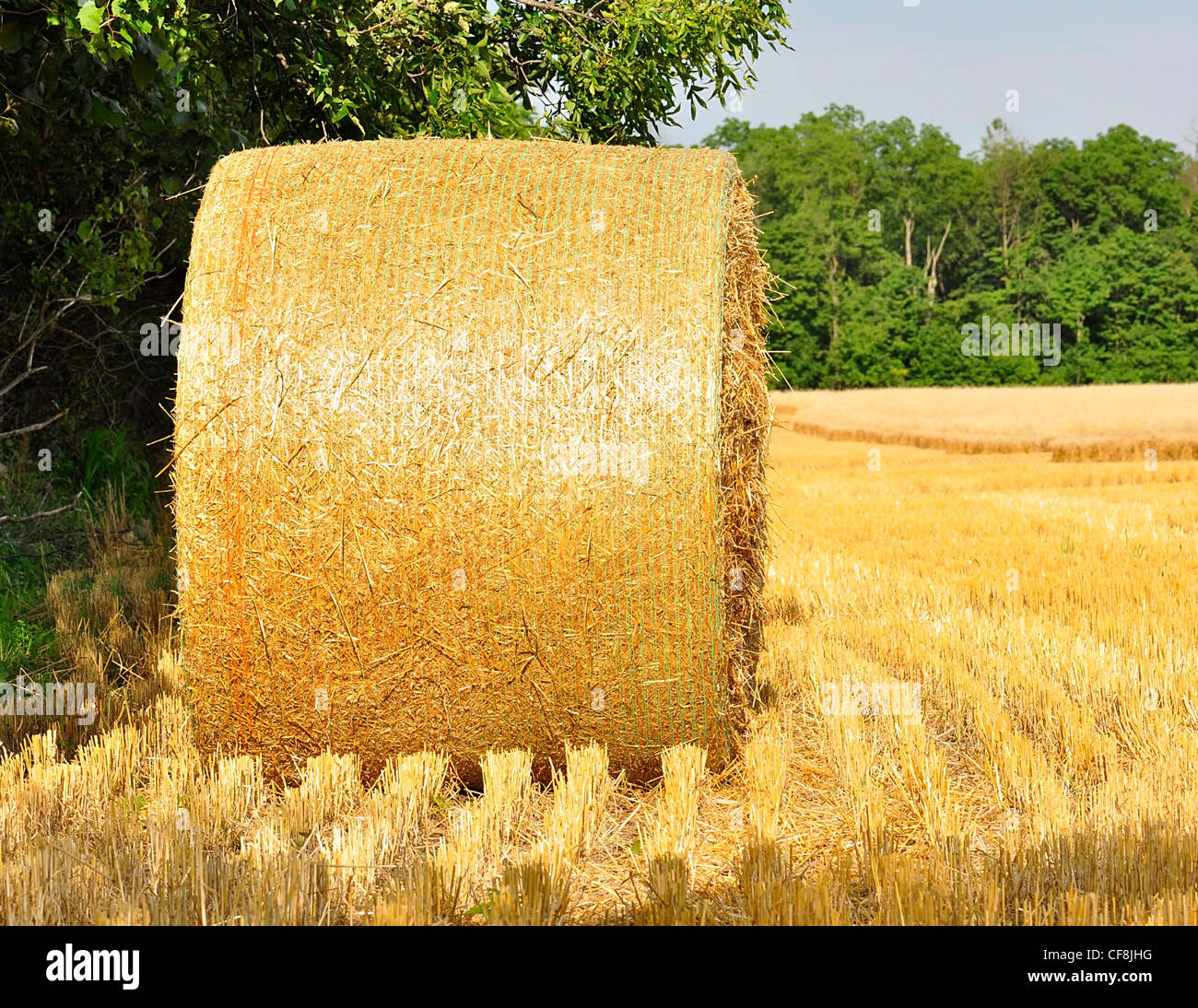 Bail hay agriculture crop hi-res stock photography and images - Alamy