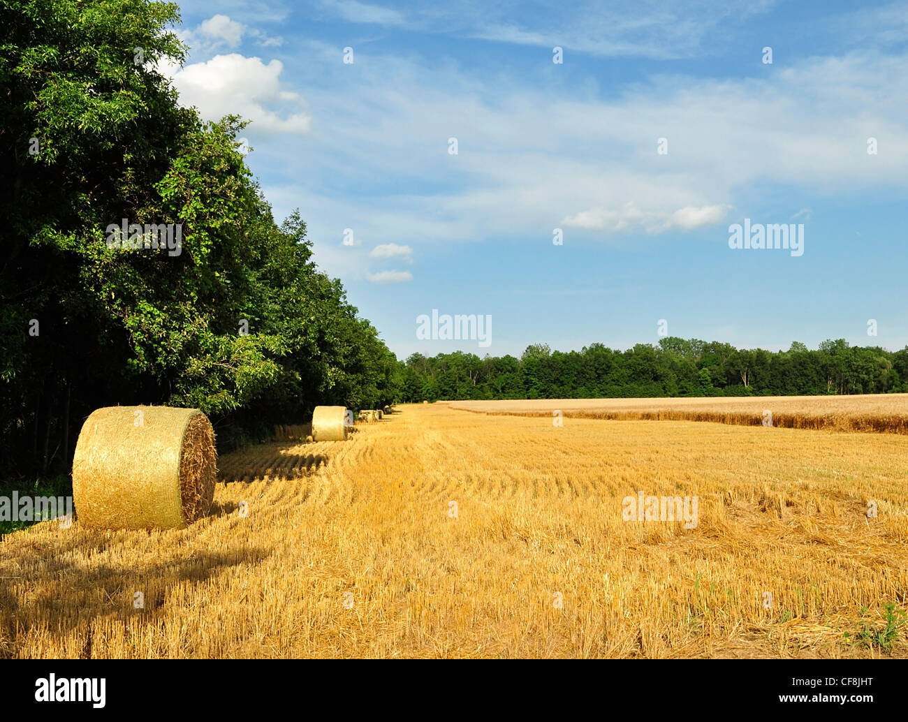 Hay bails in a field Stock Photo - Alamy