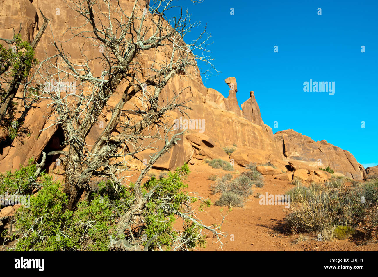 Arches National Park, Moab Utah Landscape Stock Photo - Alamy