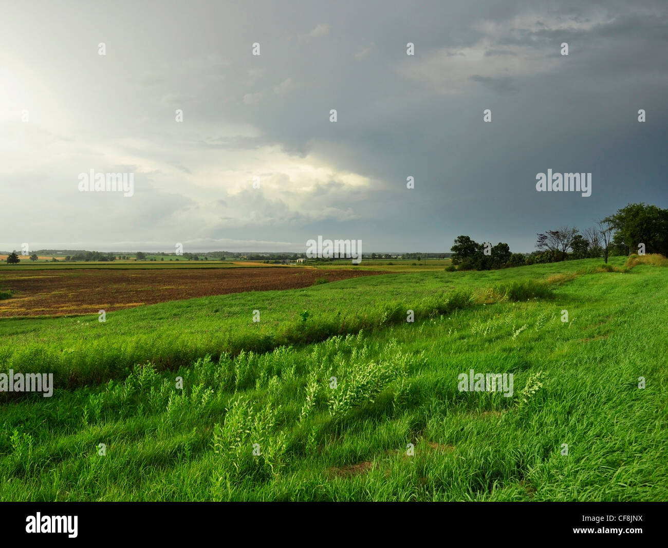 summer landscape with rainy weather Stock Photo - Alamy