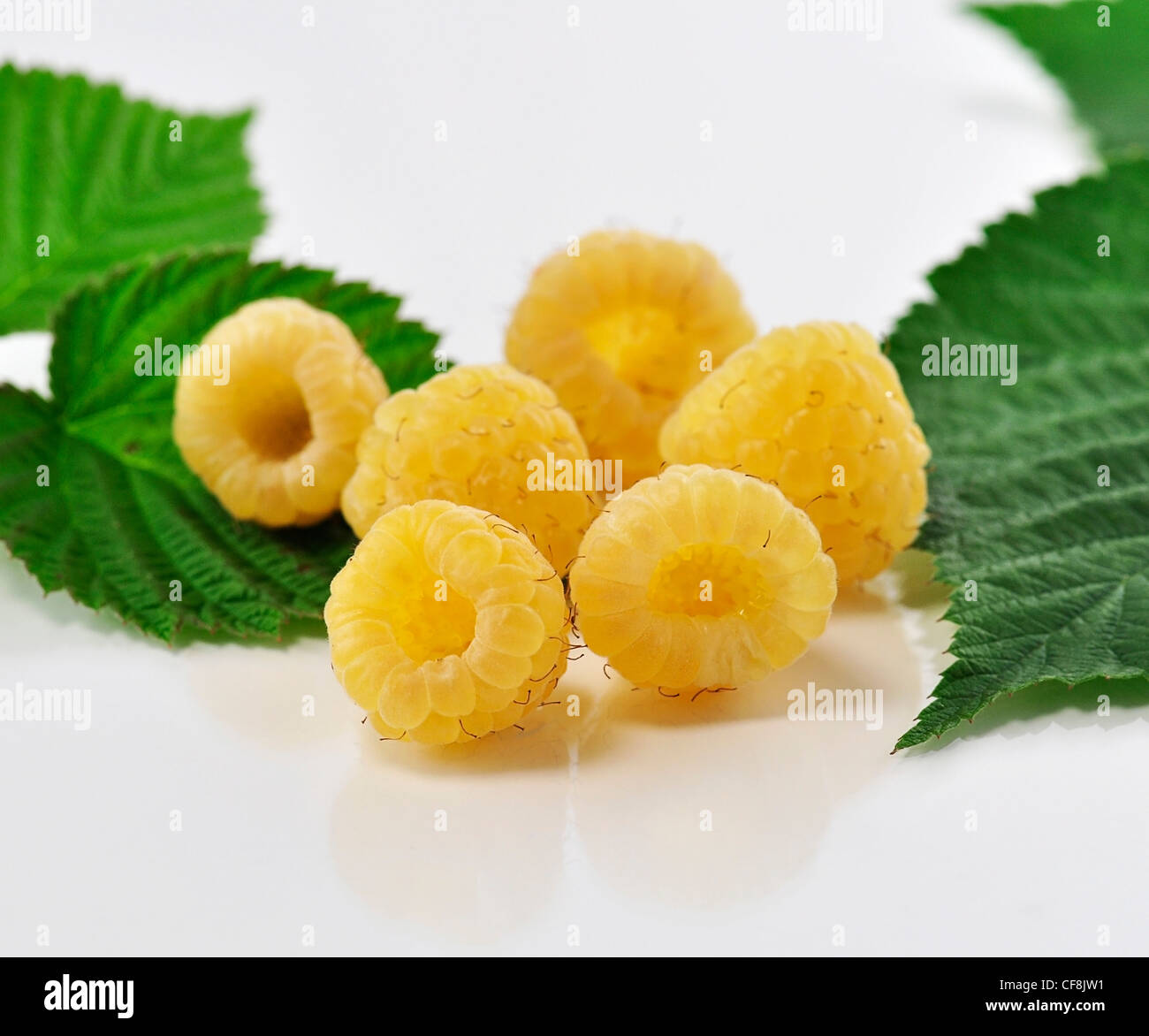 yellow raspberry , close up Stock Photo - Alamy