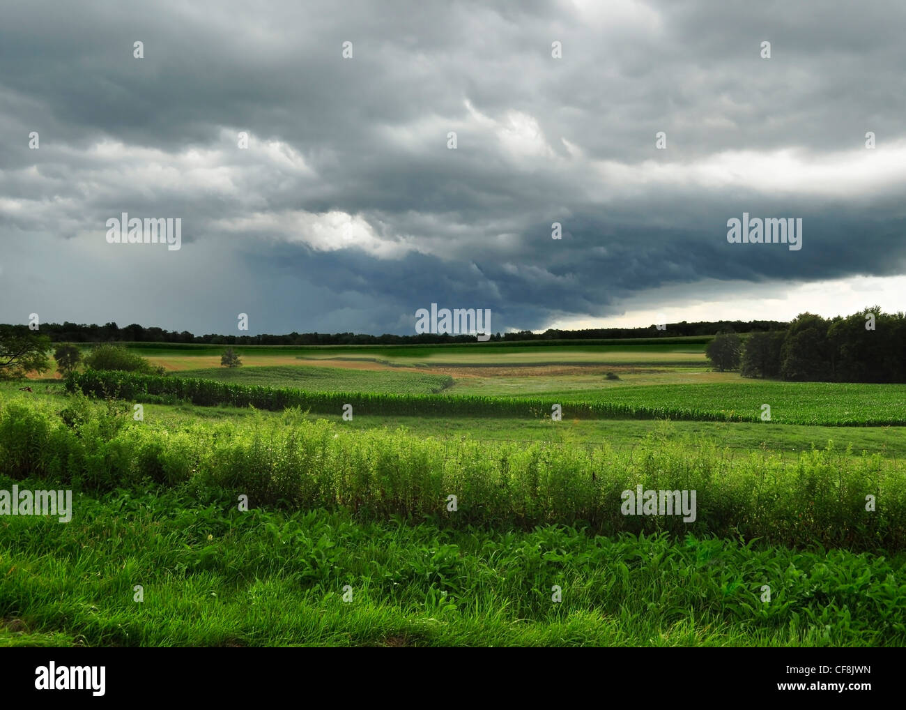 Storm over the field Stock Photo - Alamy