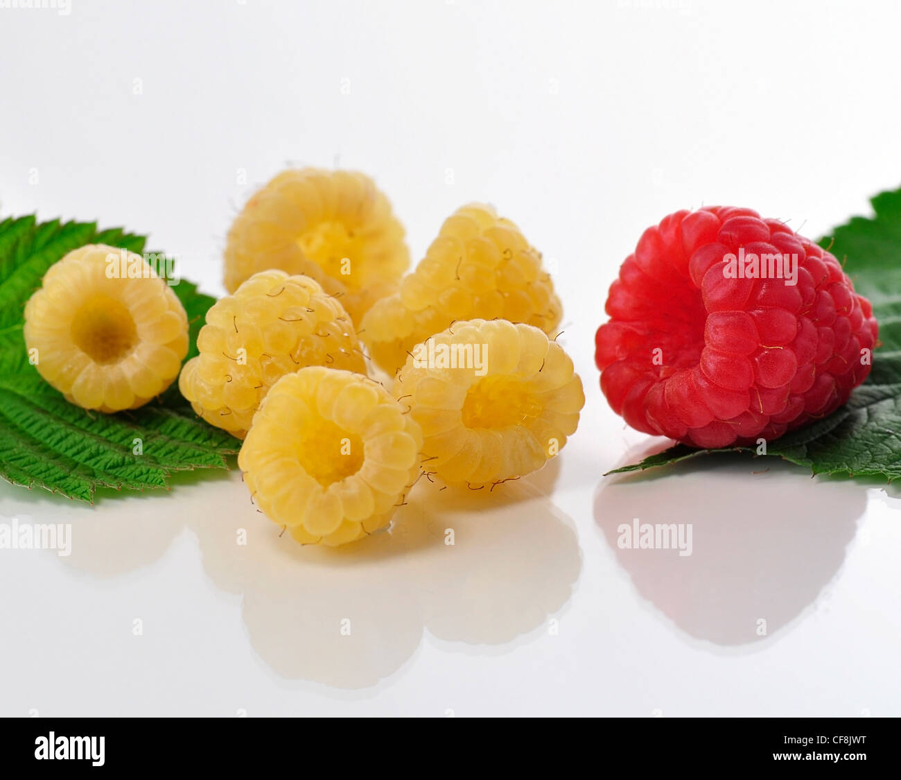 yellow and red raspberry , close up Stock Photo - Alamy