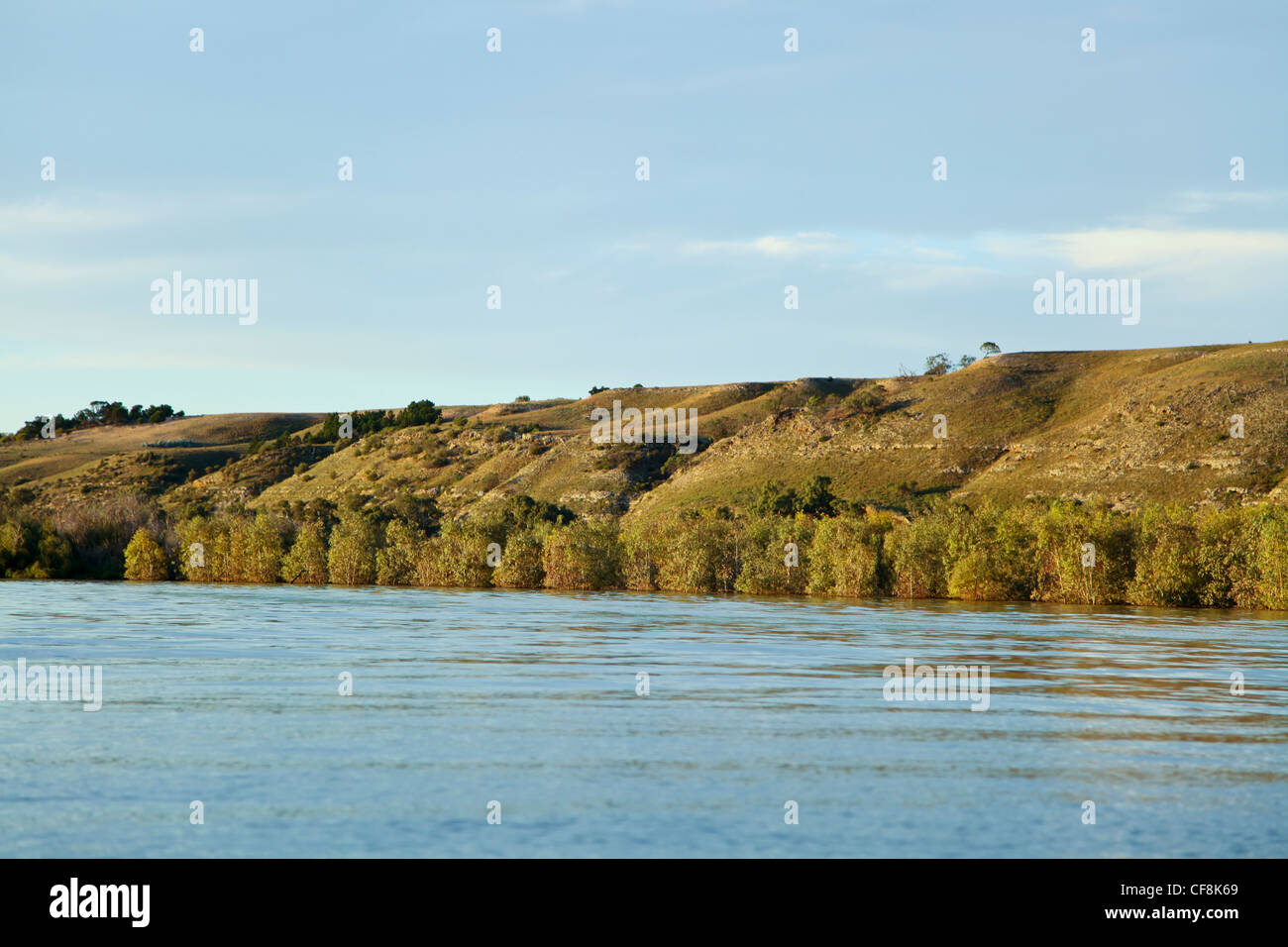 River murray and wildlife hi-res stock photography and images - Alamy
