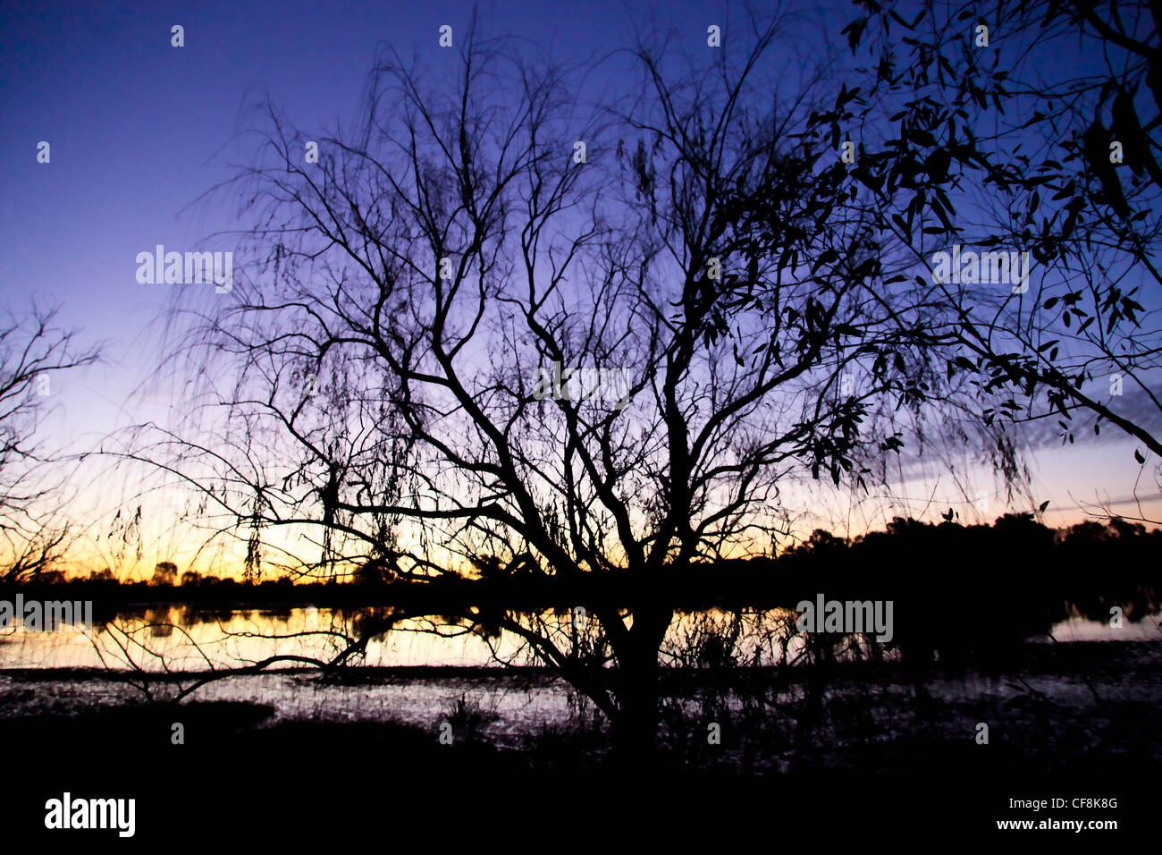 Murray river sunset hi-res stock photography and images - Alamy
