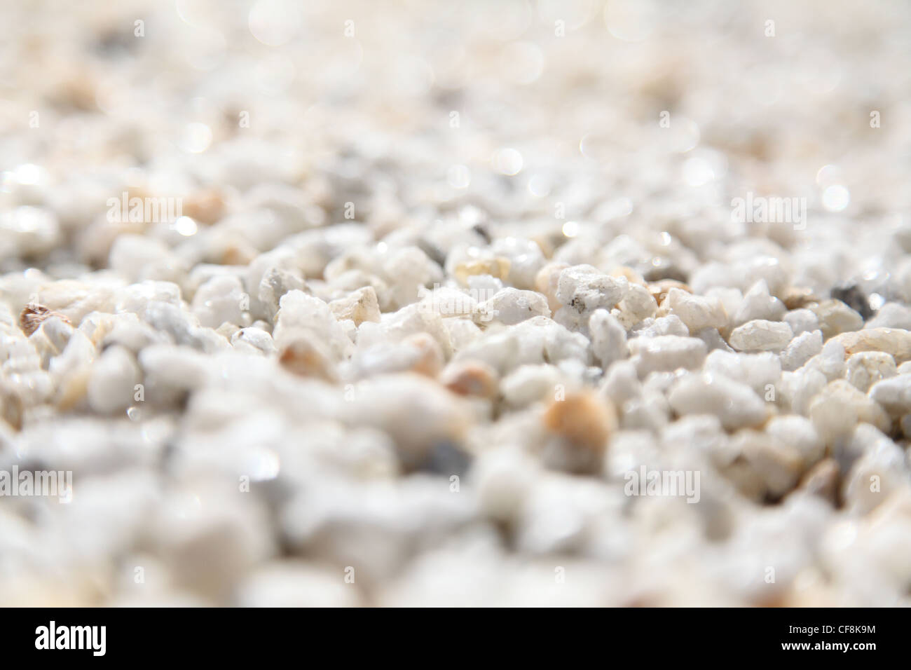Pebble Soil High Resolution Stock Photography and Images - Alamy