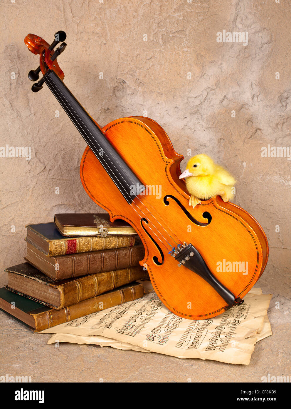 Old Fiddle High Resolution Stock Photography and Images - Alamy