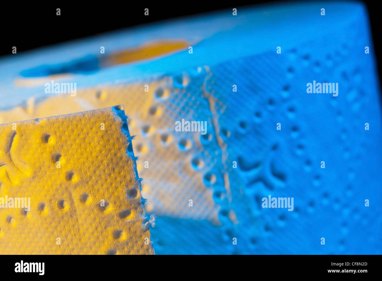 close up of a roll of toilet paper. toilet paper in colored light Stock ...