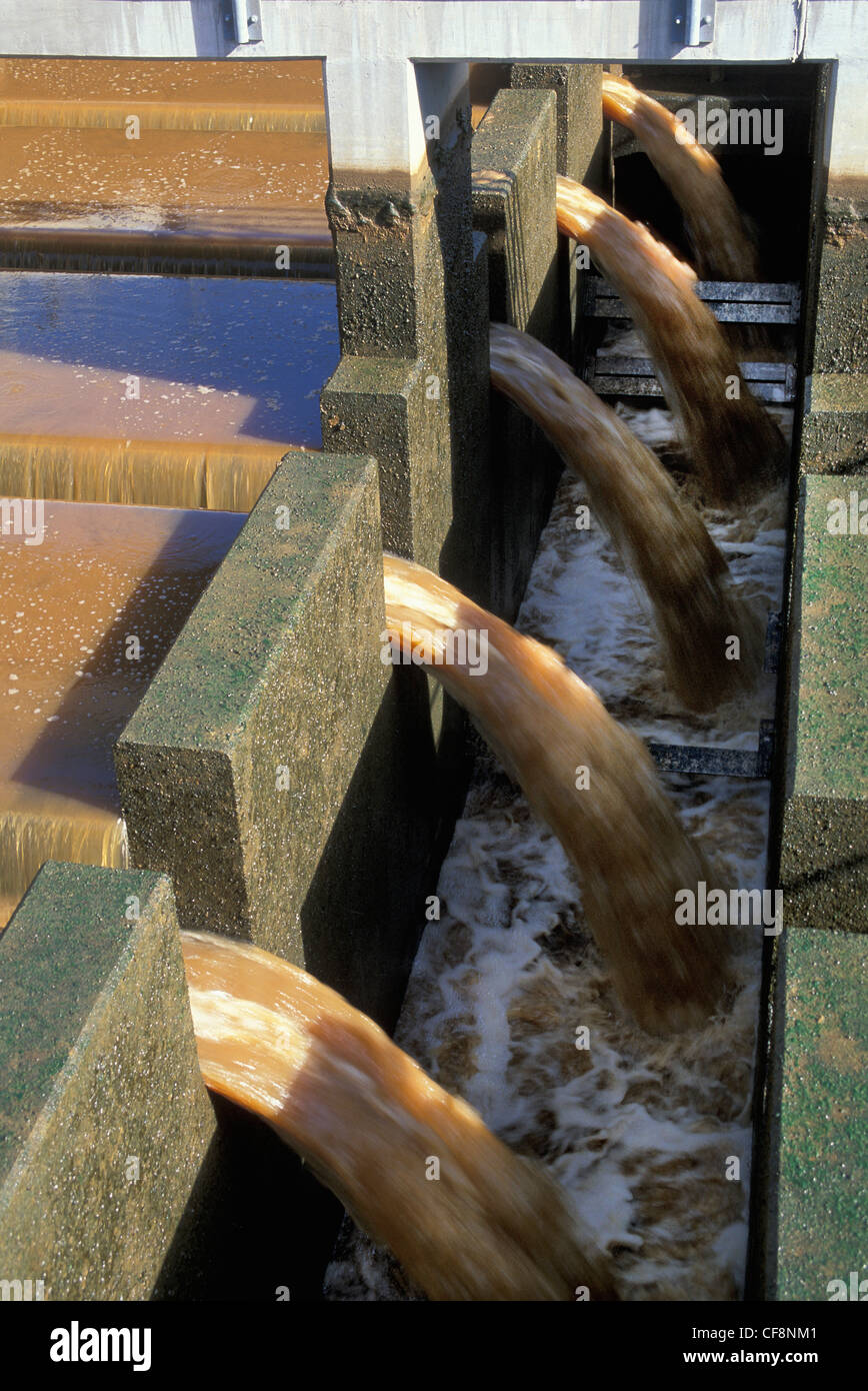 environment, protection, water, filtration, clean, Los Angeles ...