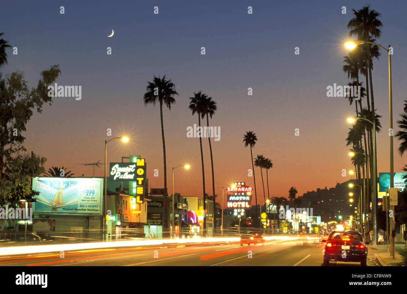 Los angeles sunset boulevard palm trees hi-res stock photography and ...