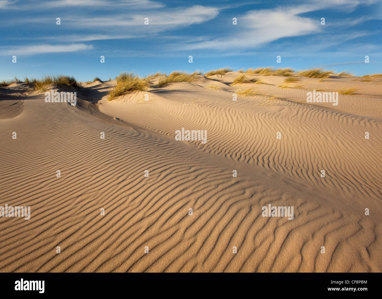 Wind patterns drifting sand hi-res stock photography and images - Alamy