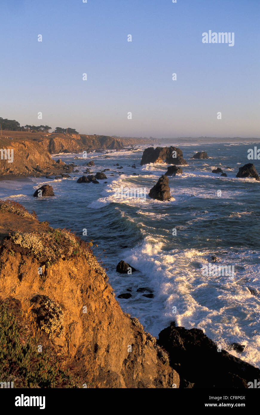 Bodega bay hi-res stock photography and images - Alamy