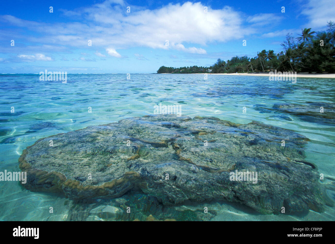 Muri beach, Rarotonga, Cook Islands, Pacific Ocean, sea, South Pacific ...