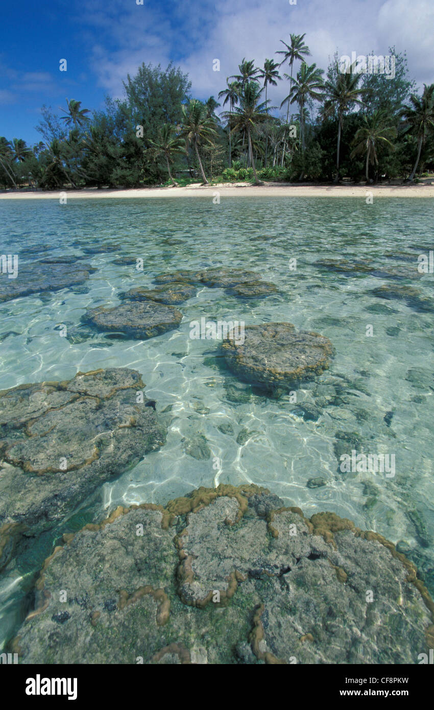 Rarotonga, Cook Islands, Pacific Ocean, sea, South Pacific, Oceania ...