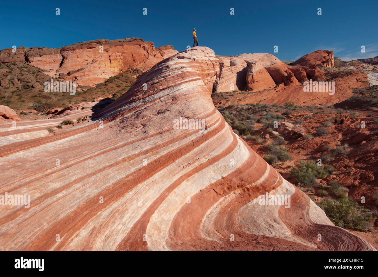 Sand stone, rock, formations, scenic drive, Valley of Fire, State Park ...